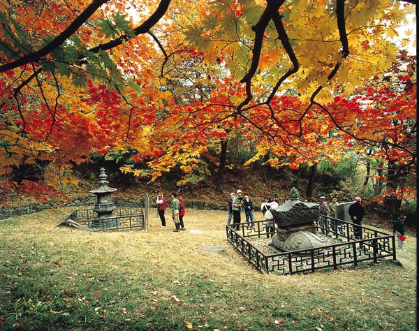 단풍 절정 지리산 : 부산의 대표 정론지, 국제신문