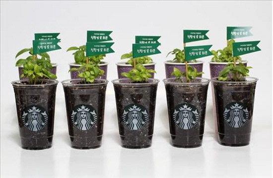 스타벅스 오늘 `친환경 꽃 화분 키트` 선착순 증정...머그.텀블러.글라스 등 구매때 : 부산의 대표 정론지, 국제신문