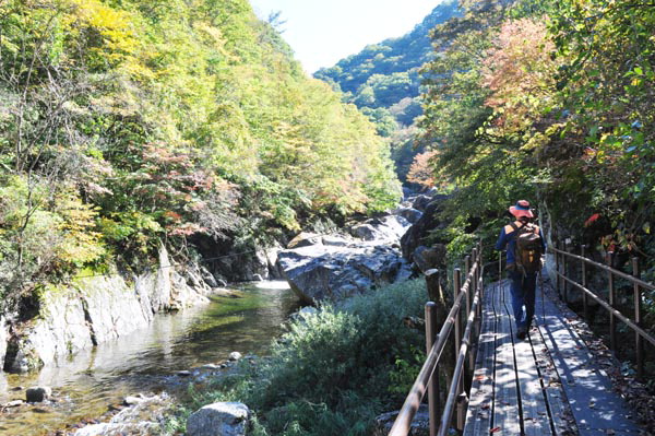 근교산&그너머 지리산 뱀사골 신선길 : 부산의 대표 정론지, 국제신문