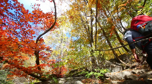‘영상앨범 산’ 가을, 그 산에 가야 할 이유 - 지리산 국립공원 : 부산의 대표 정론지, 국제신문